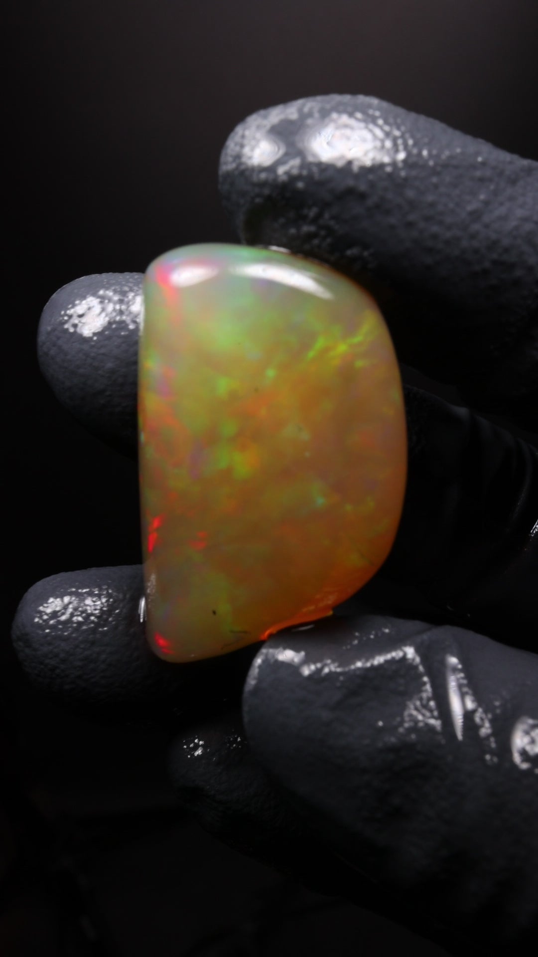 45.20ct Polished Specimen – The Opal Trove