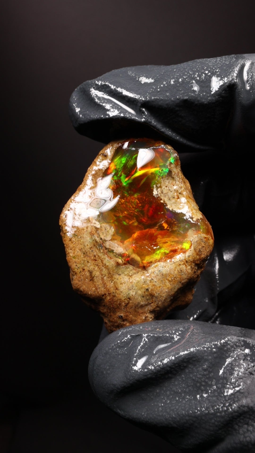 12.92g Rough Specimen – The Opal Trove