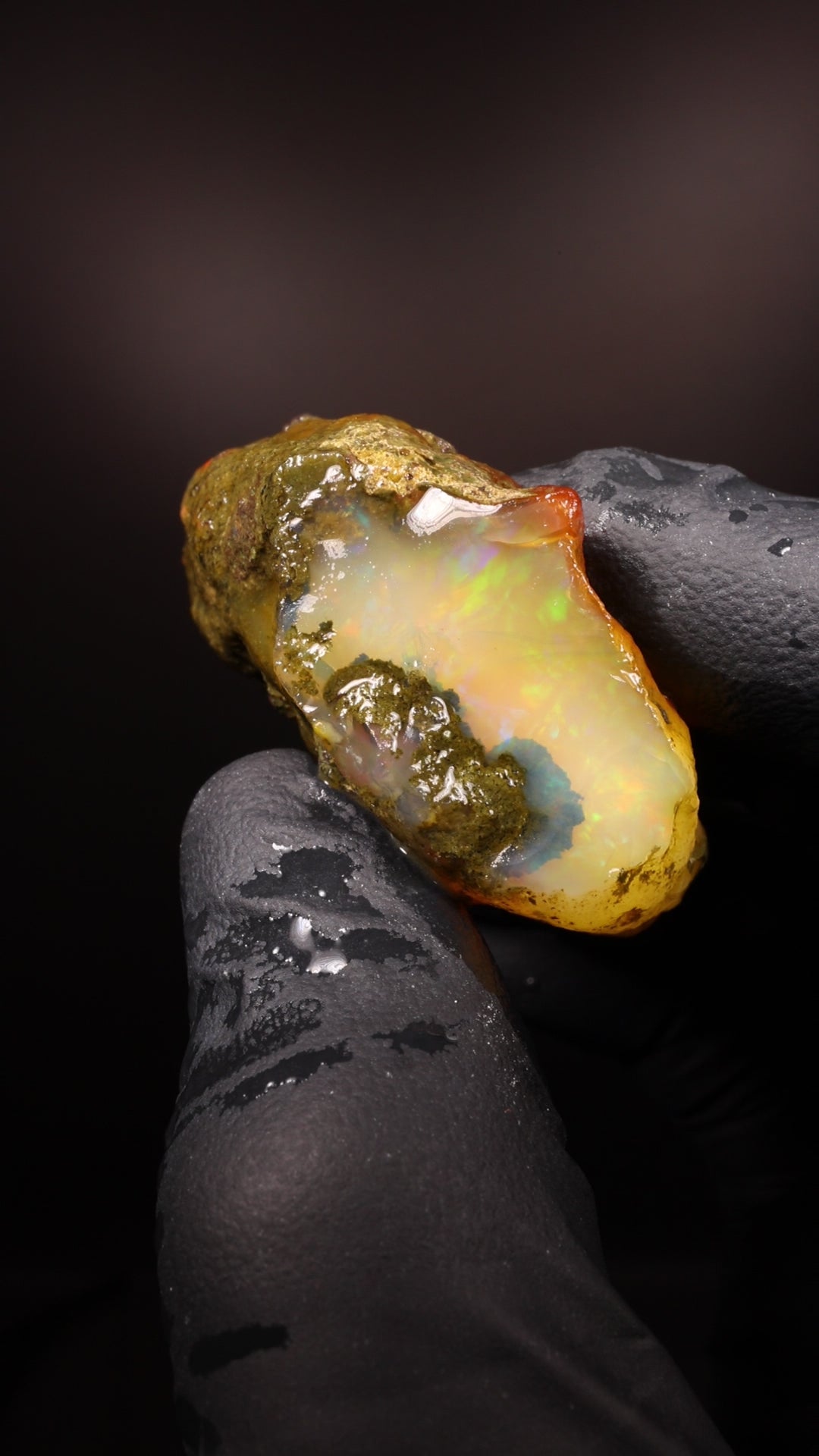 37.18g Rough Specimen – The Opal Trove
