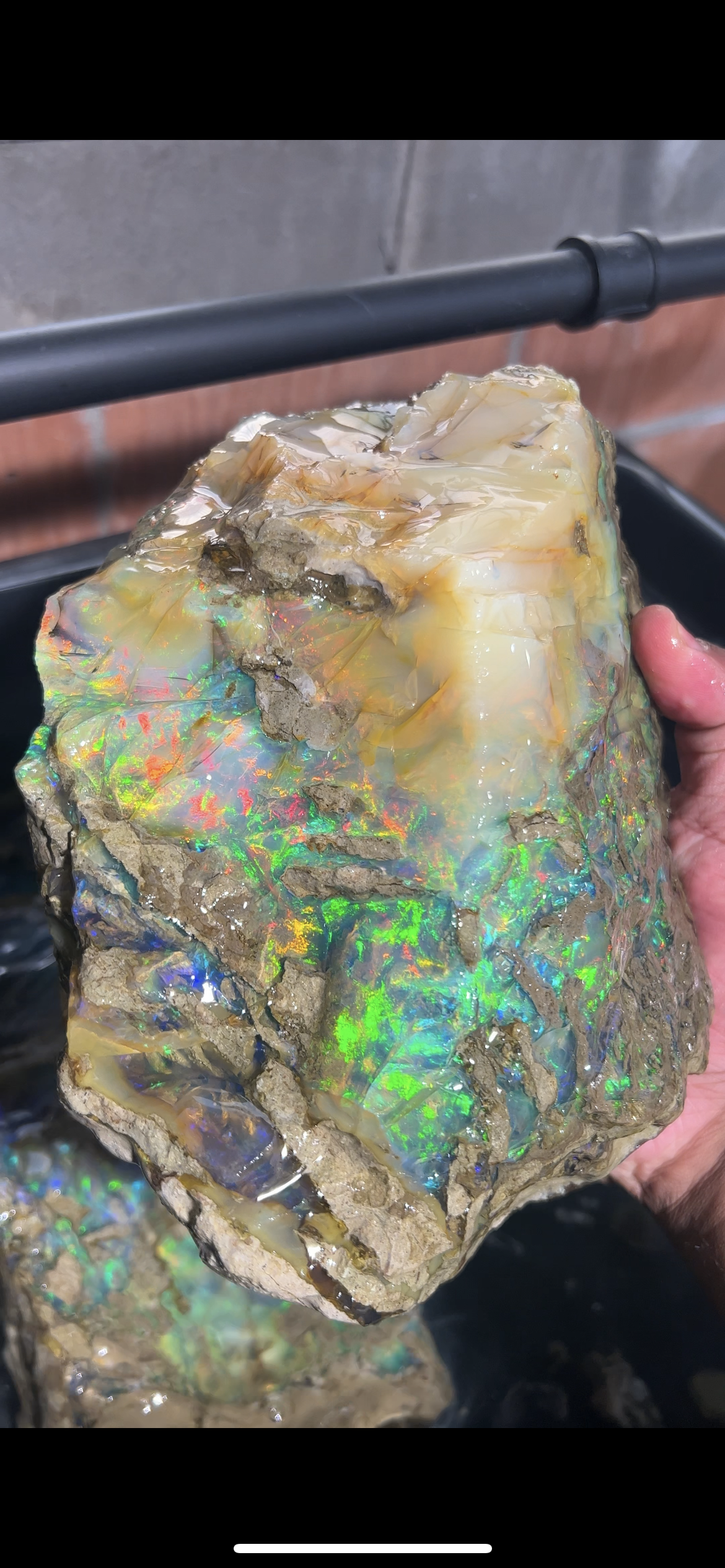 Exciting New Specimens for Spring – The Opal Trove