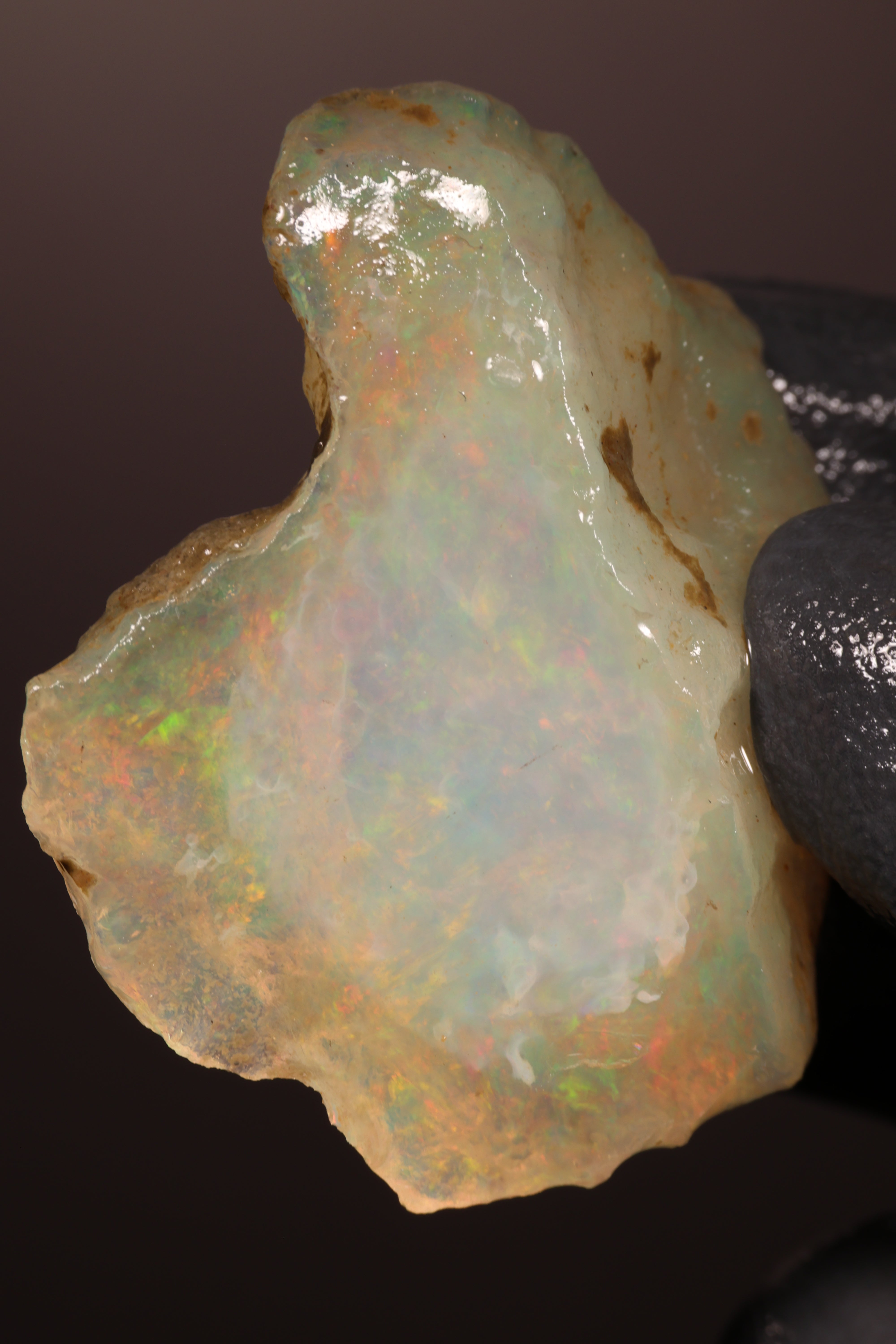 18.62g Rough Specimen – The Opal Trove