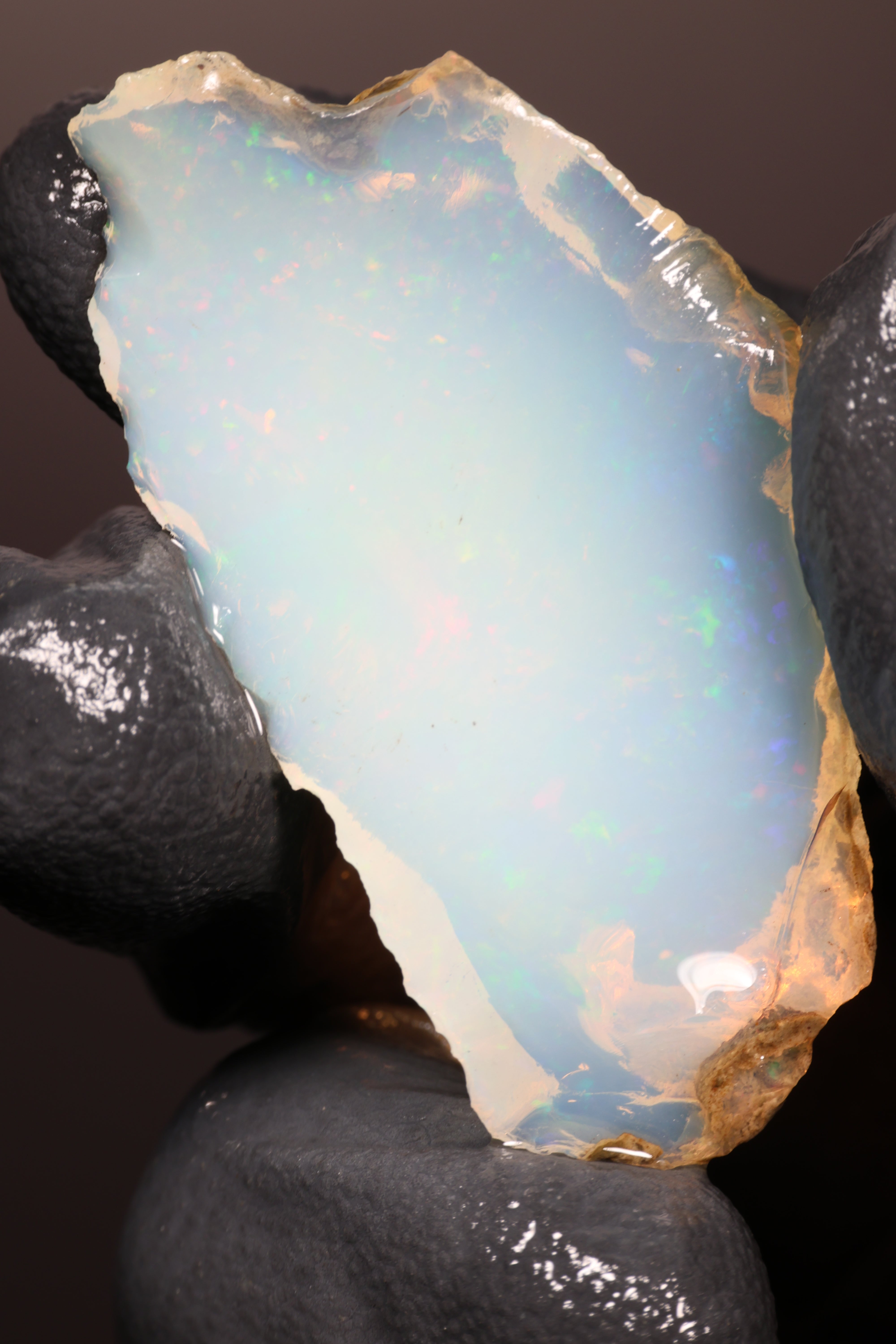 6.57g Rough Specimen – The Opal Trove