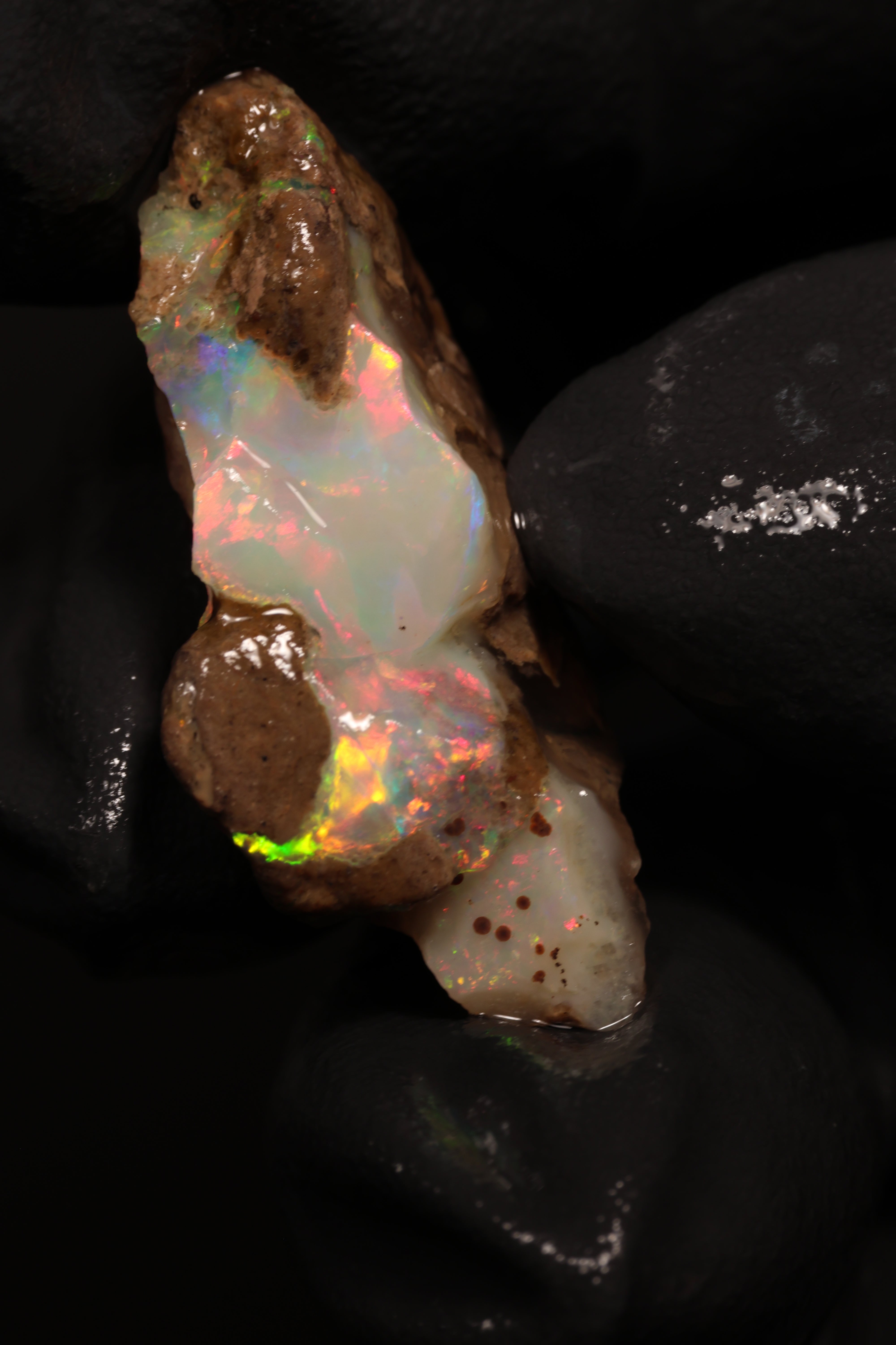 2.41g Rough Ethiopian Chalk Opal – The Opal Trove