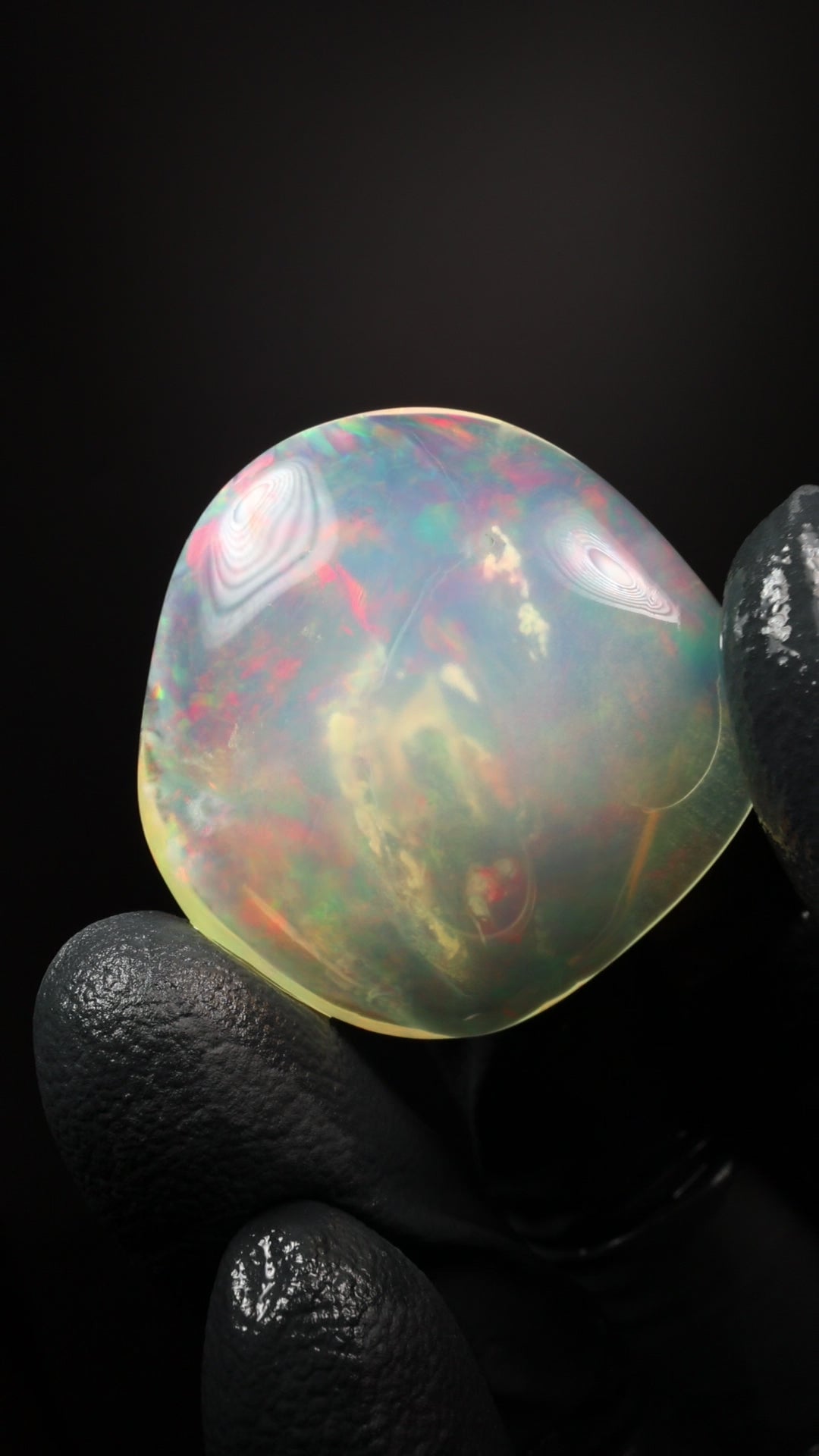 50.85ct Polished Specimen – The Opal Trove
