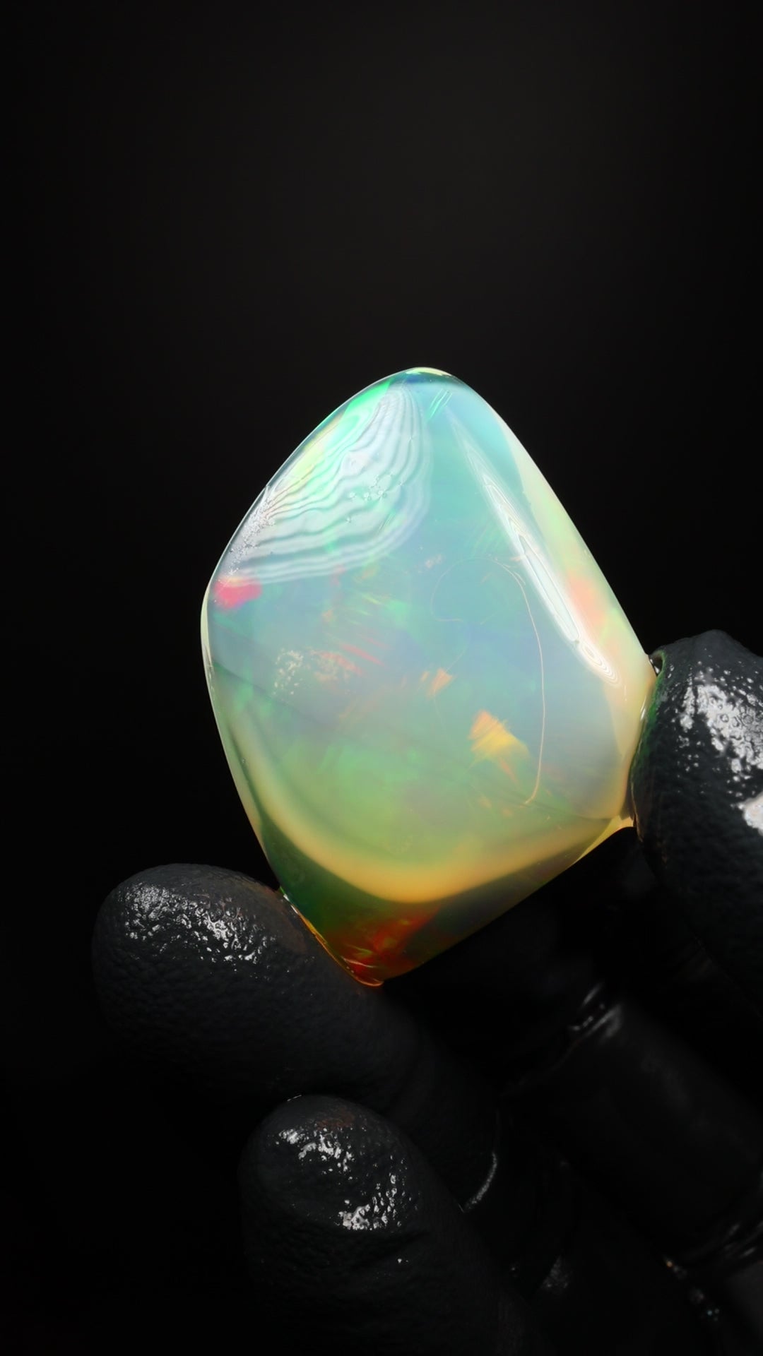 55.78ct Polished Specimen – The Opal Trove