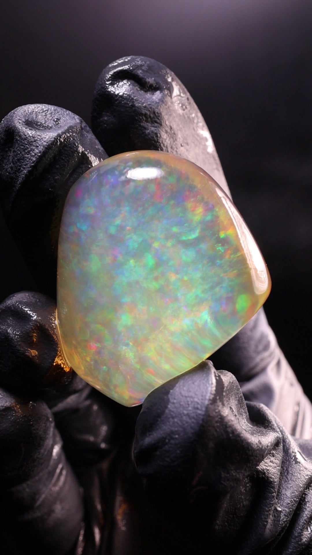 108.15ct Polished Specimen – The Opal Trove