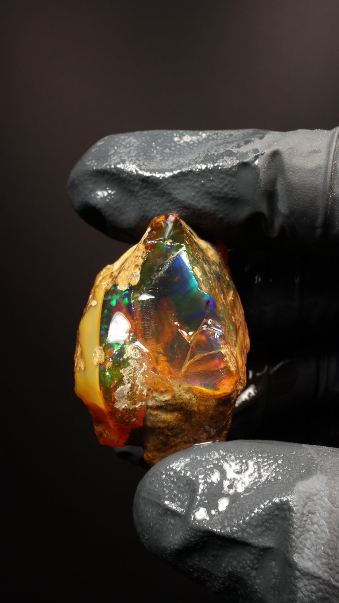 25.13g Rough Specimen – The Opal Trove